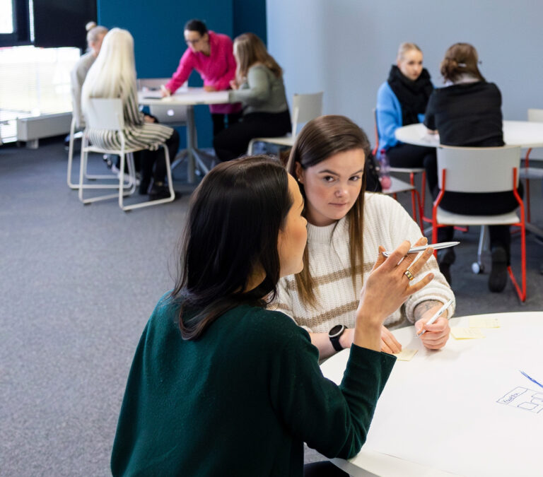 Business Management - Master School - Turku AMK