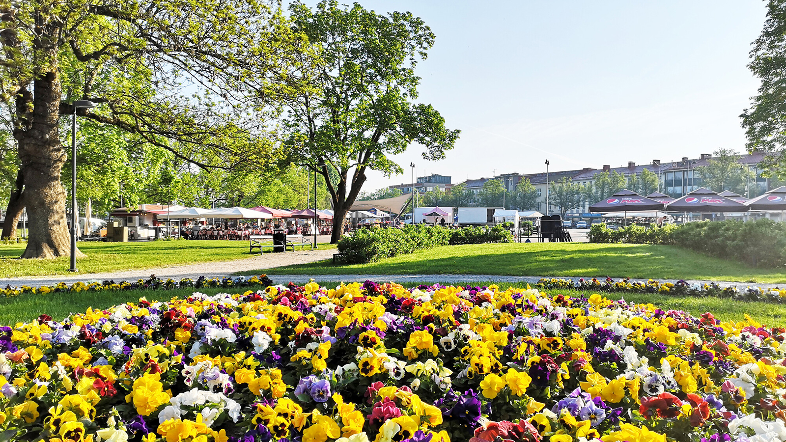City of Salo for students - Turku AMK